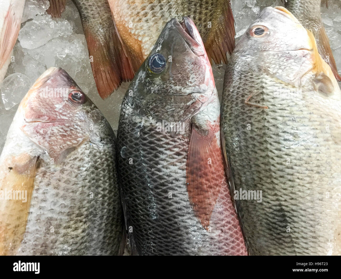 The philippines and seafood platter hi-res stock photography and images ...