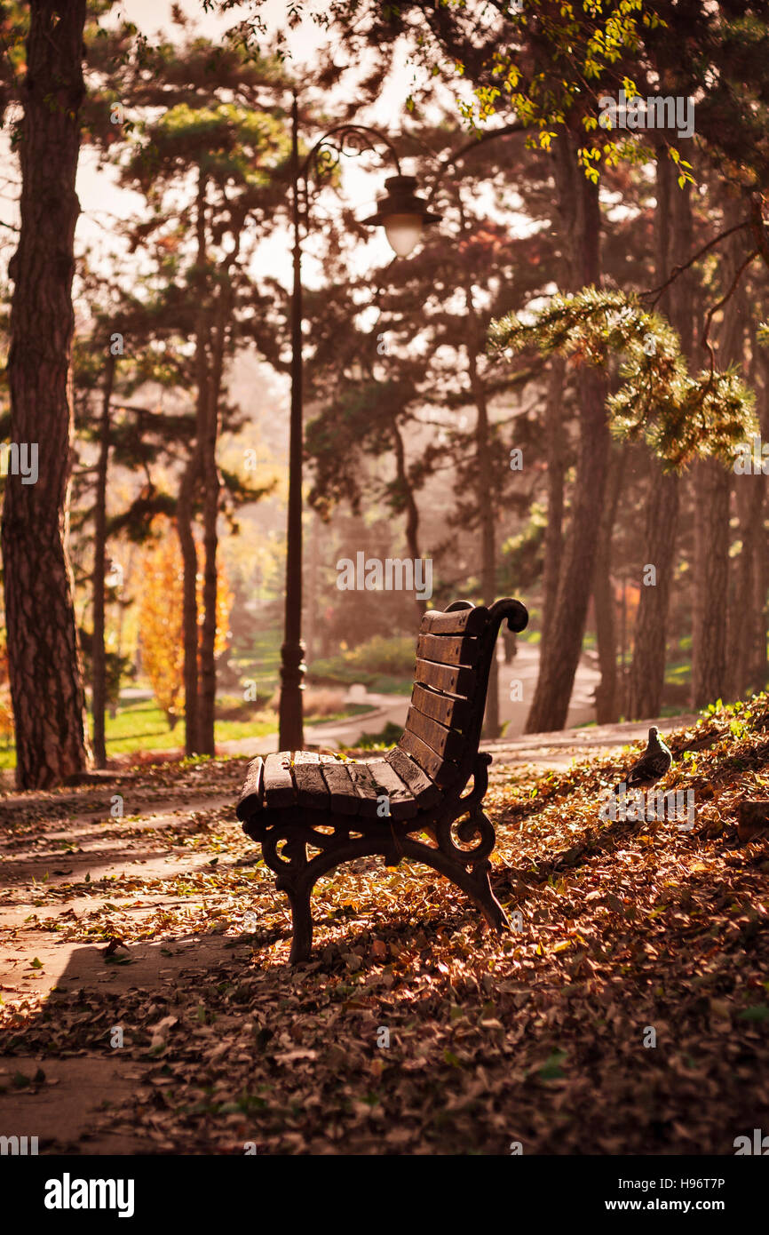 Kalemegdan park in afternoon belgrade hi-res stock photography and ...