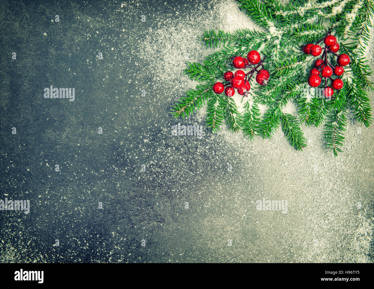 Christmas tree branches with red berries. Holidays background with snow ...