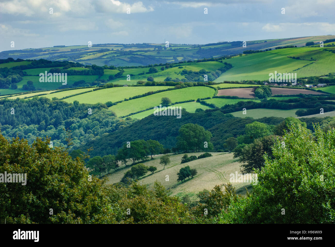 English countryside with hedges and fields in Exmoor National Park ...
