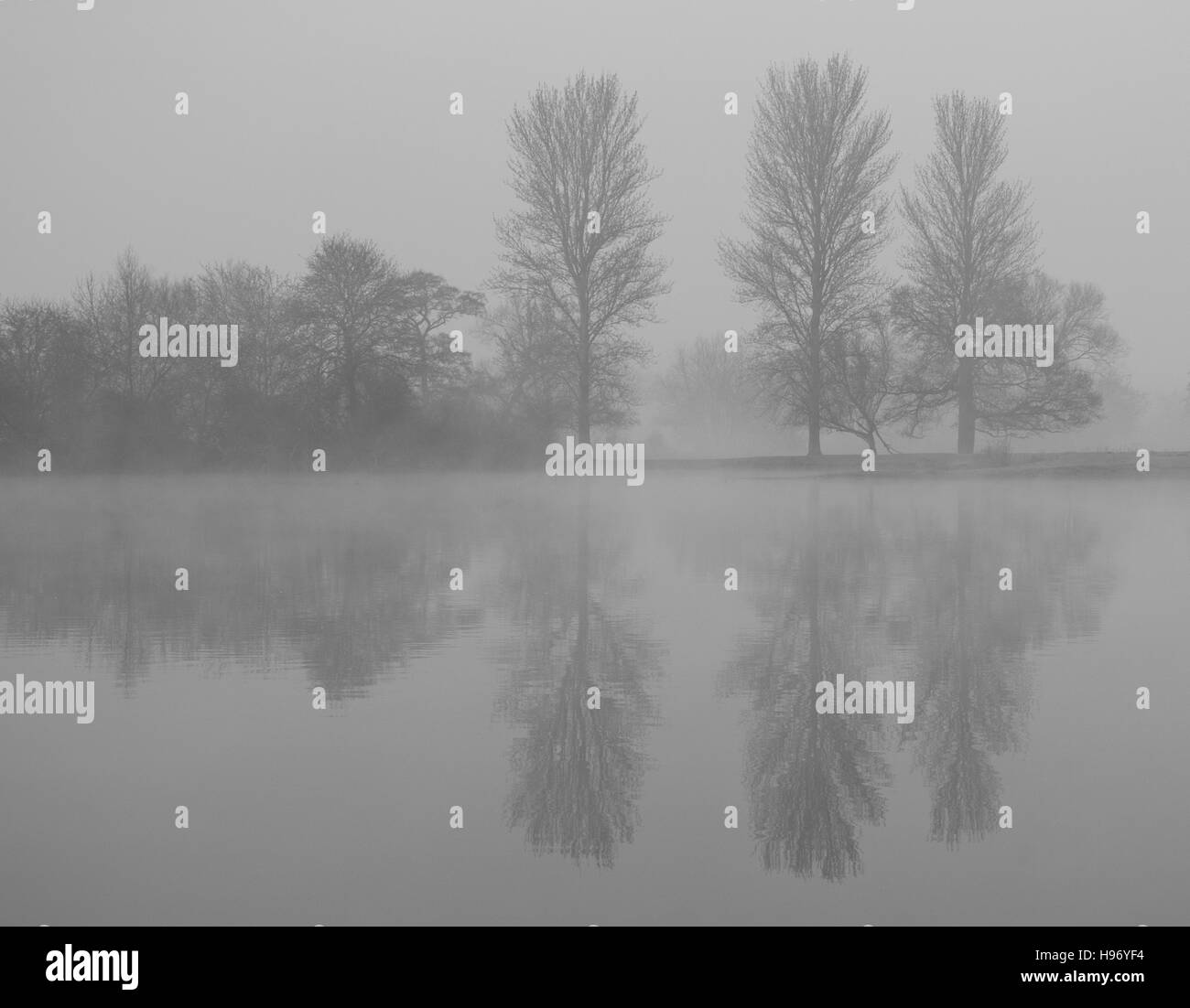 Tree Reflections, Misty Morning Stock Photo - Alamy