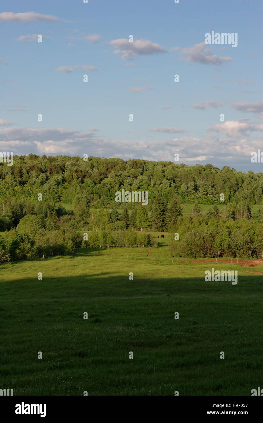 Farm fields in Rawdon, Quebec Stock Photo - Alamy