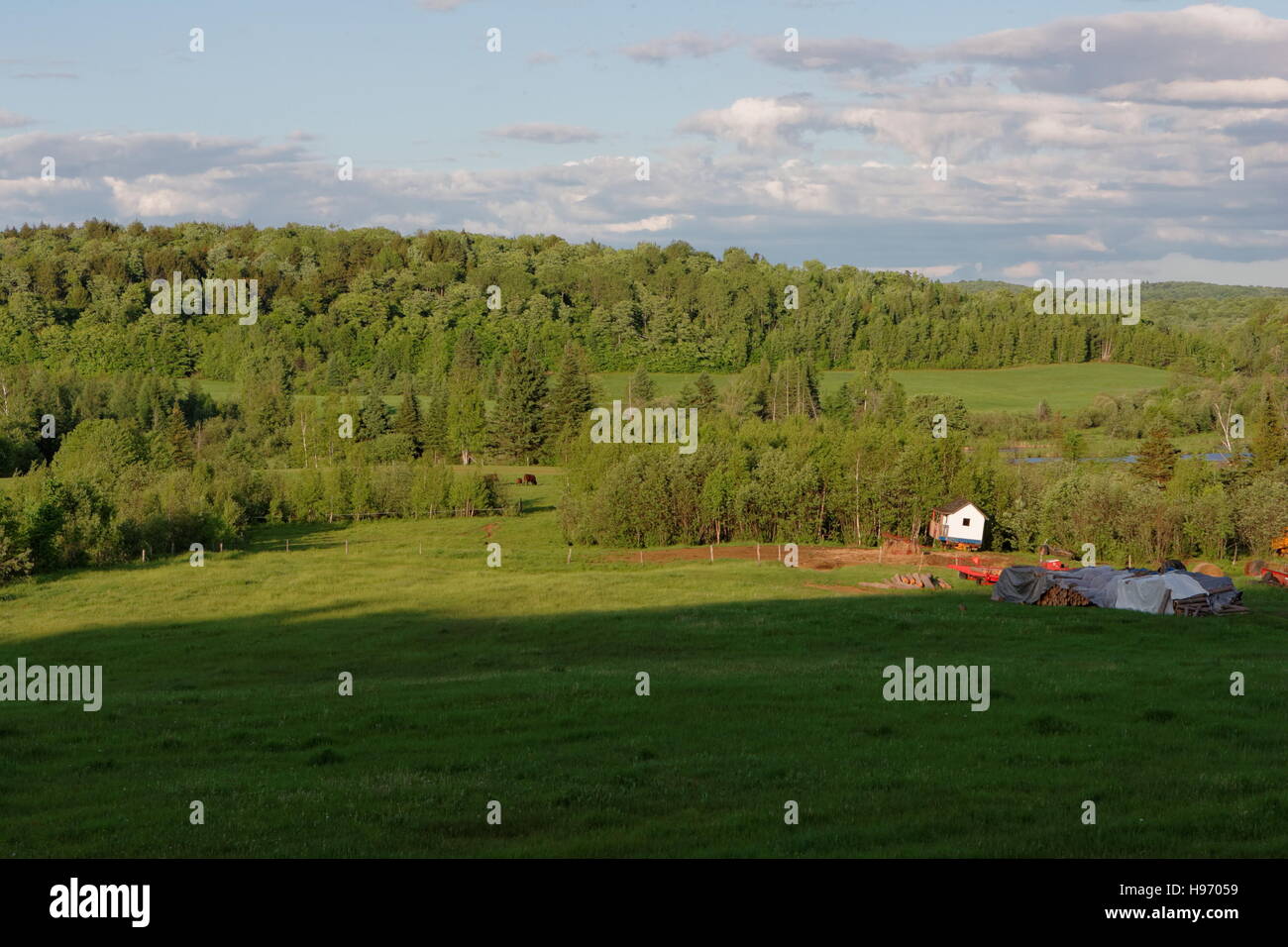 Farm fields in Rawdon, Quebec Stock Photo - Alamy