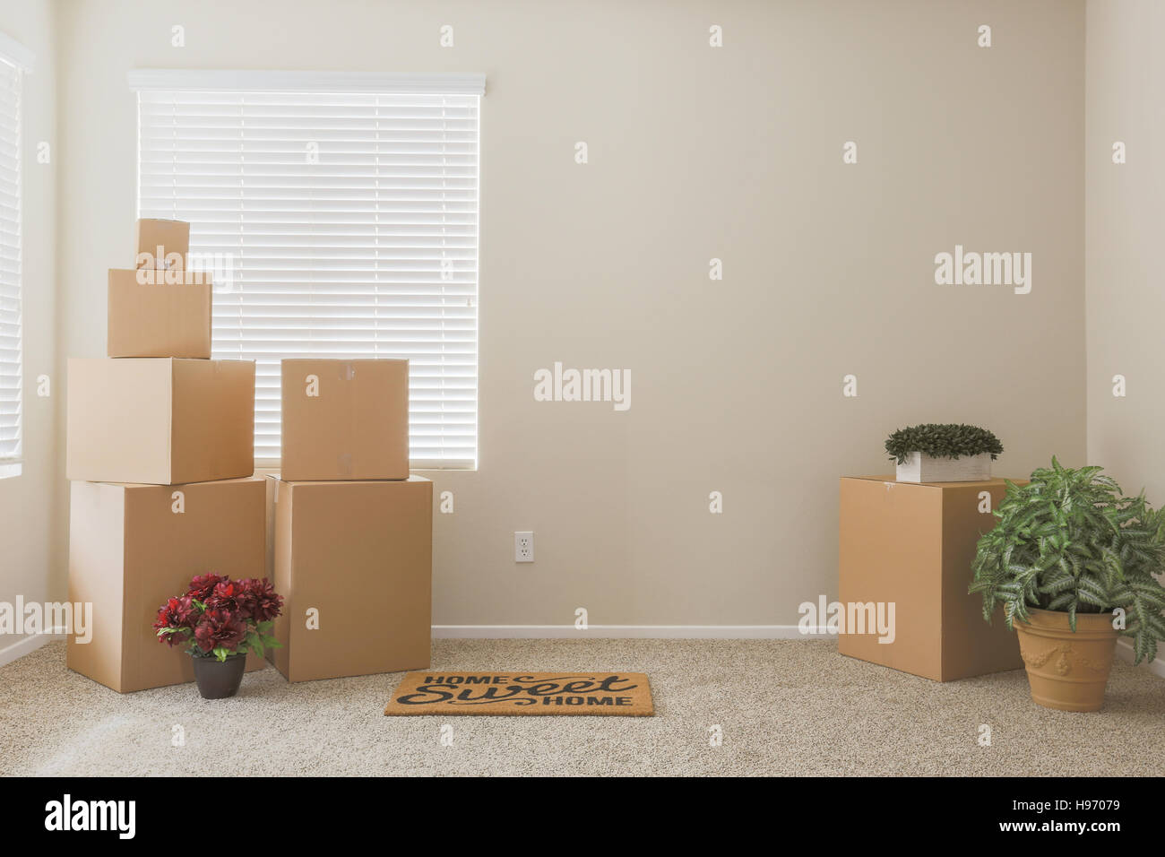 Variety of Packed Moving Boxes and Potted Plants In Empty Room with ...