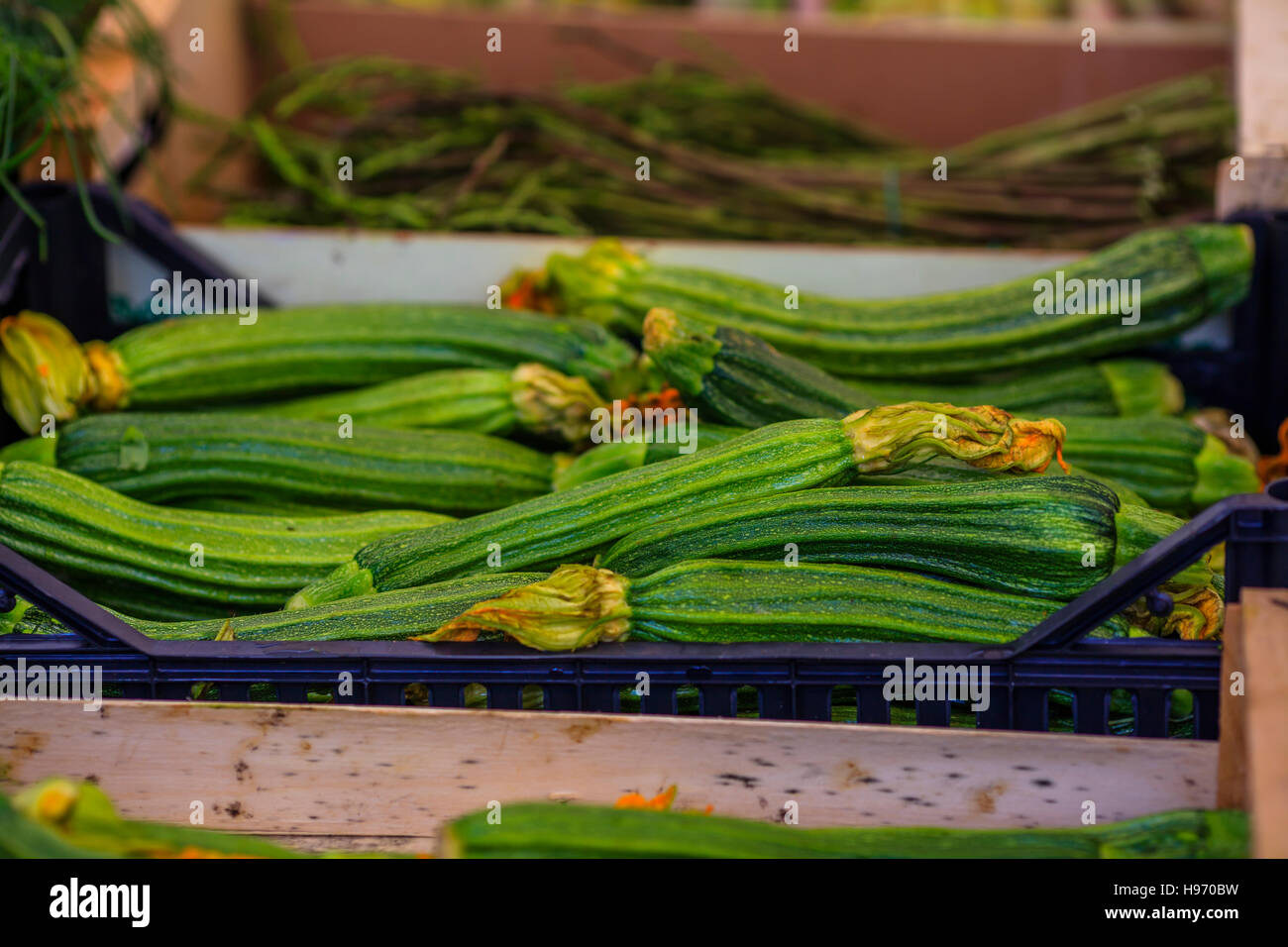 Ripe green marrow squash for sale at the market Stock Photo - Alamy