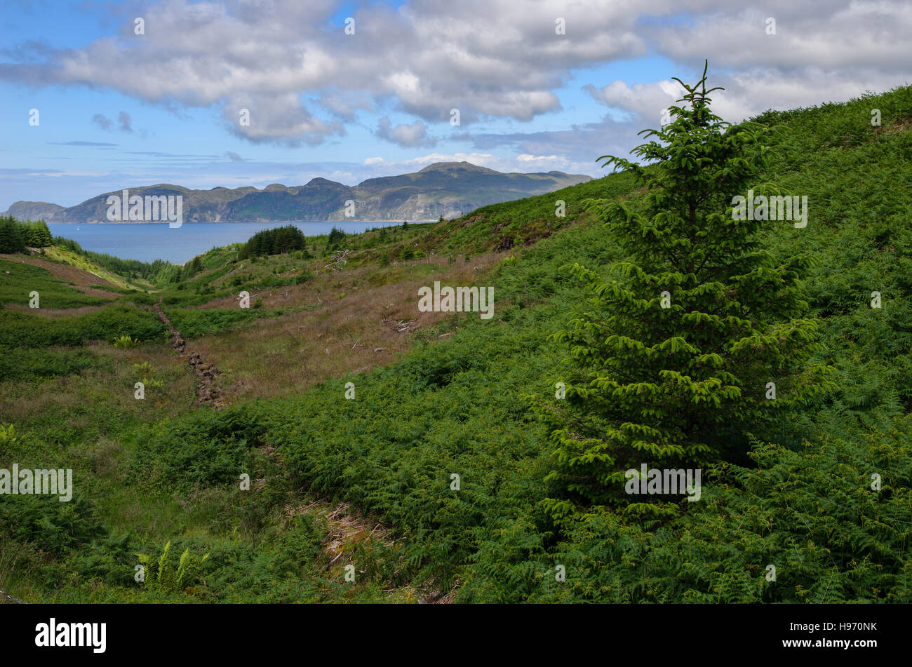 Ardmore High Resolution Stock Photography and Images - Alamy