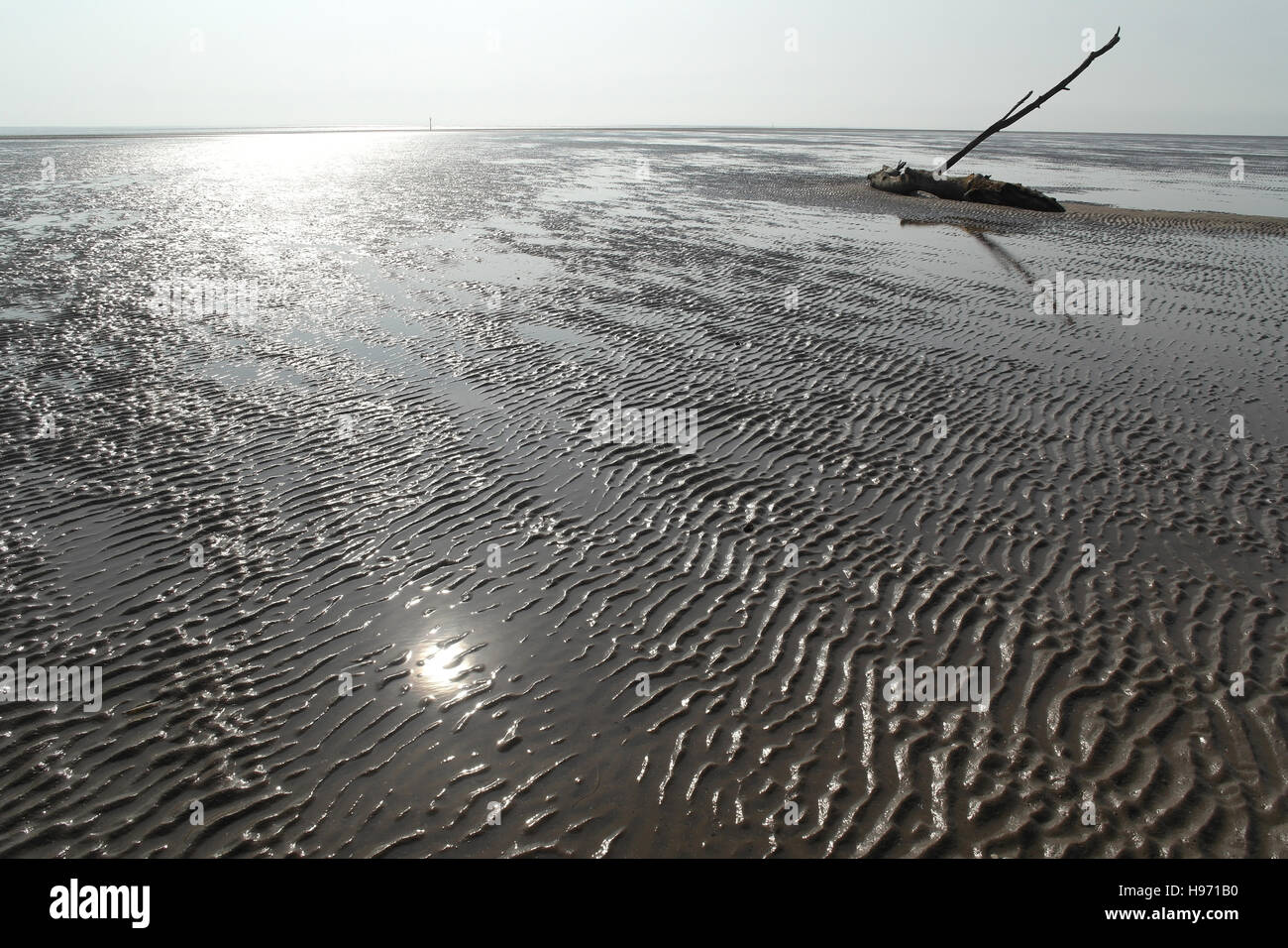 Blue sky view white sun reflecting in wet sand ripples beach towards ...