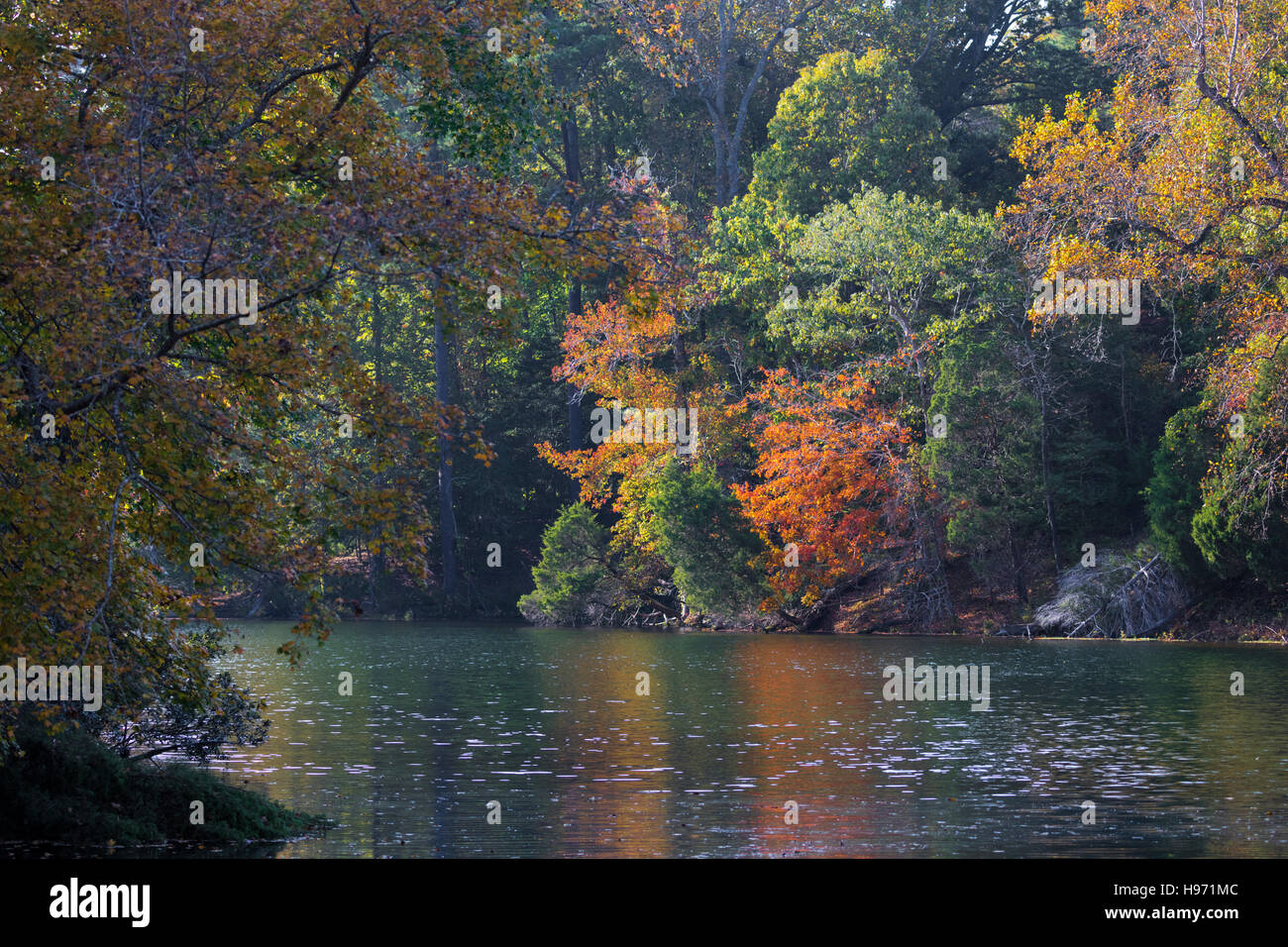 Wormley hi-res stock photography and images - Alamy