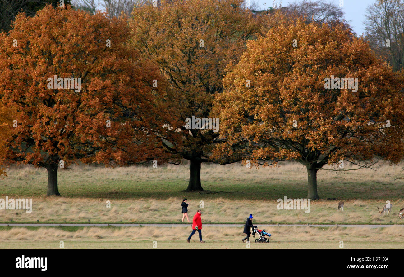 People walk past trees displaying autumn colours in Richmond Park ...