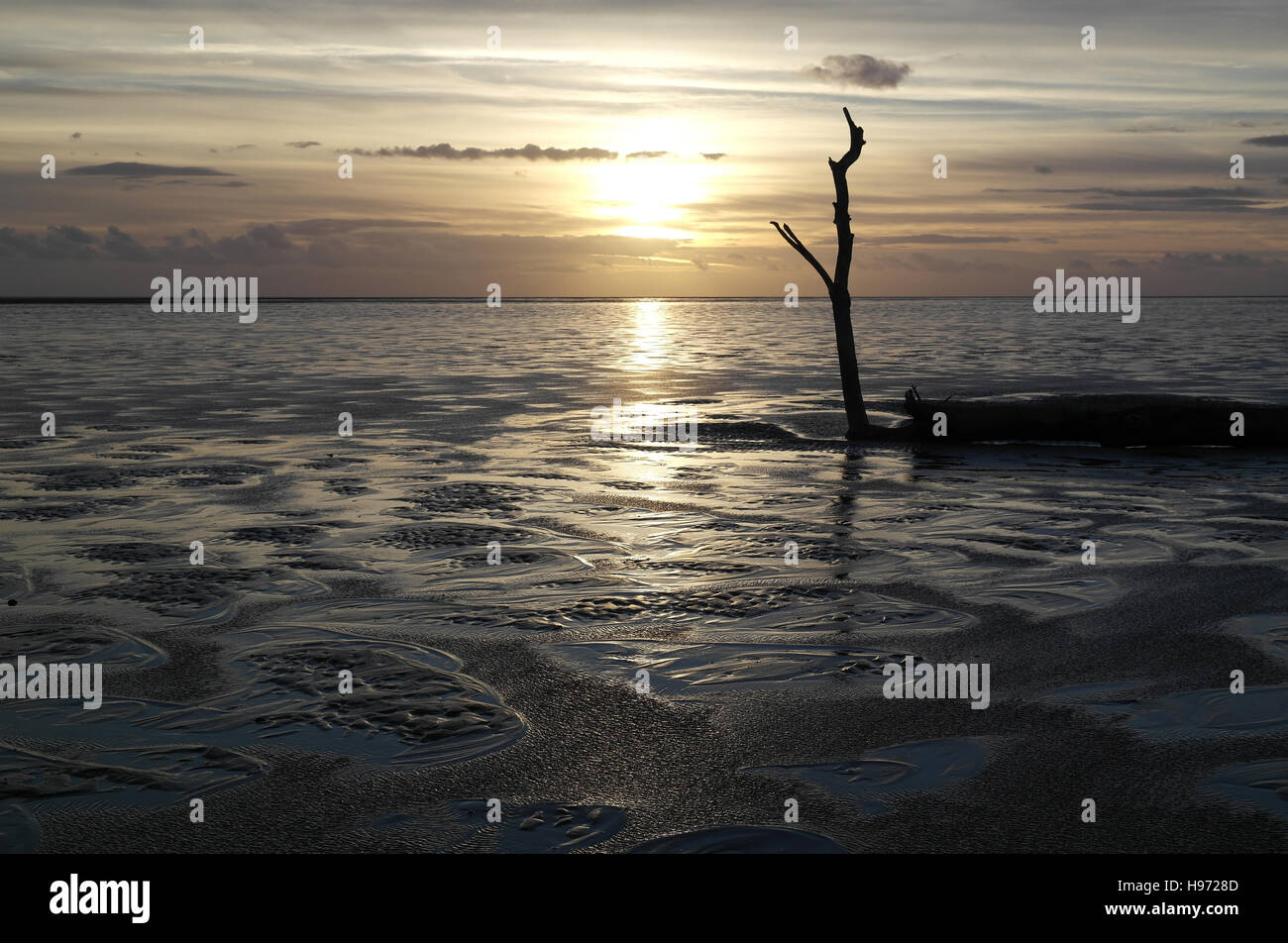 Beach 1 expanse wet sand foreground extending right background hi-res ...
