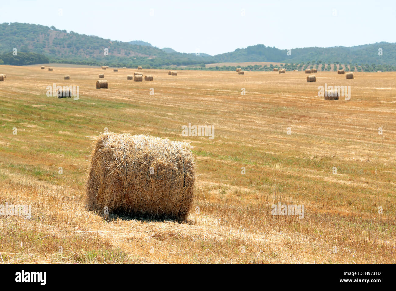 Agriculture in portugal hi-res stock photography and images - Alamy