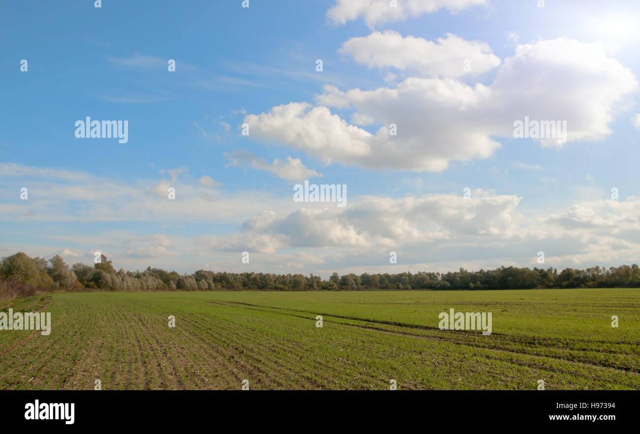 Spring landscape with agricultural fields, farming background Stock ...