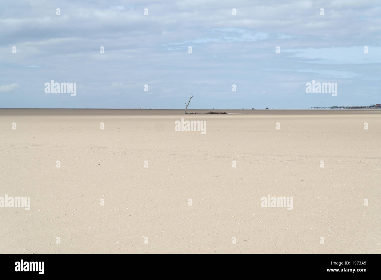 Grey clouds sunny day view over dry sand beach towards tree trunk with ...