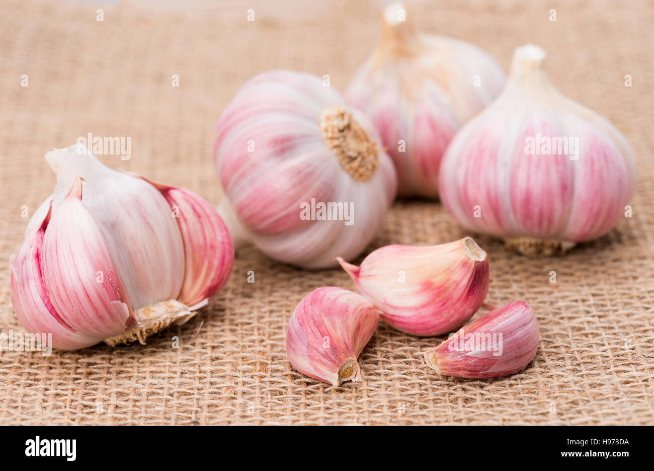 Fresh garlic bulbs hi-res stock photography and images - Alamy