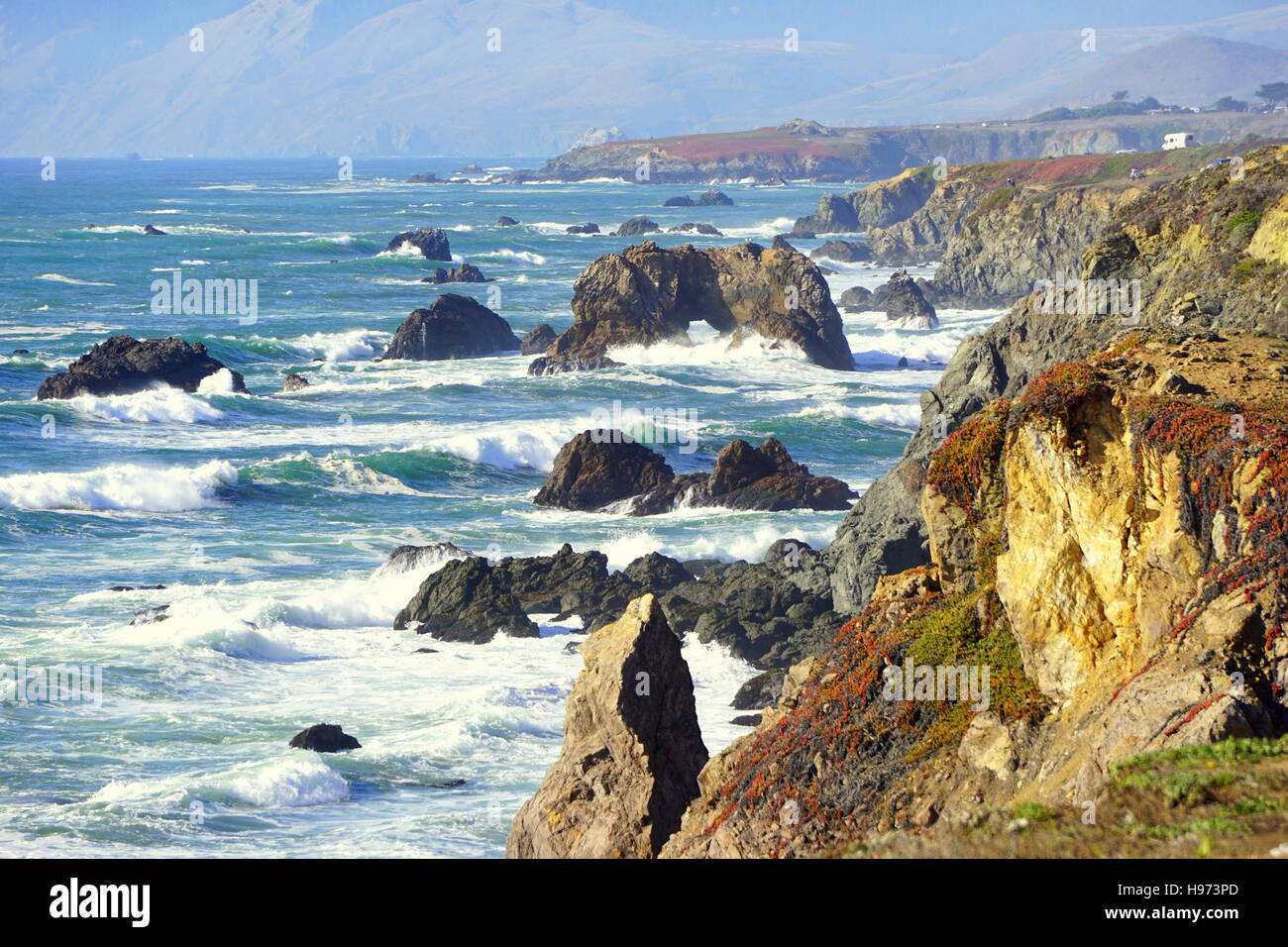 Bodega head hi-res stock photography and images - Alamy
