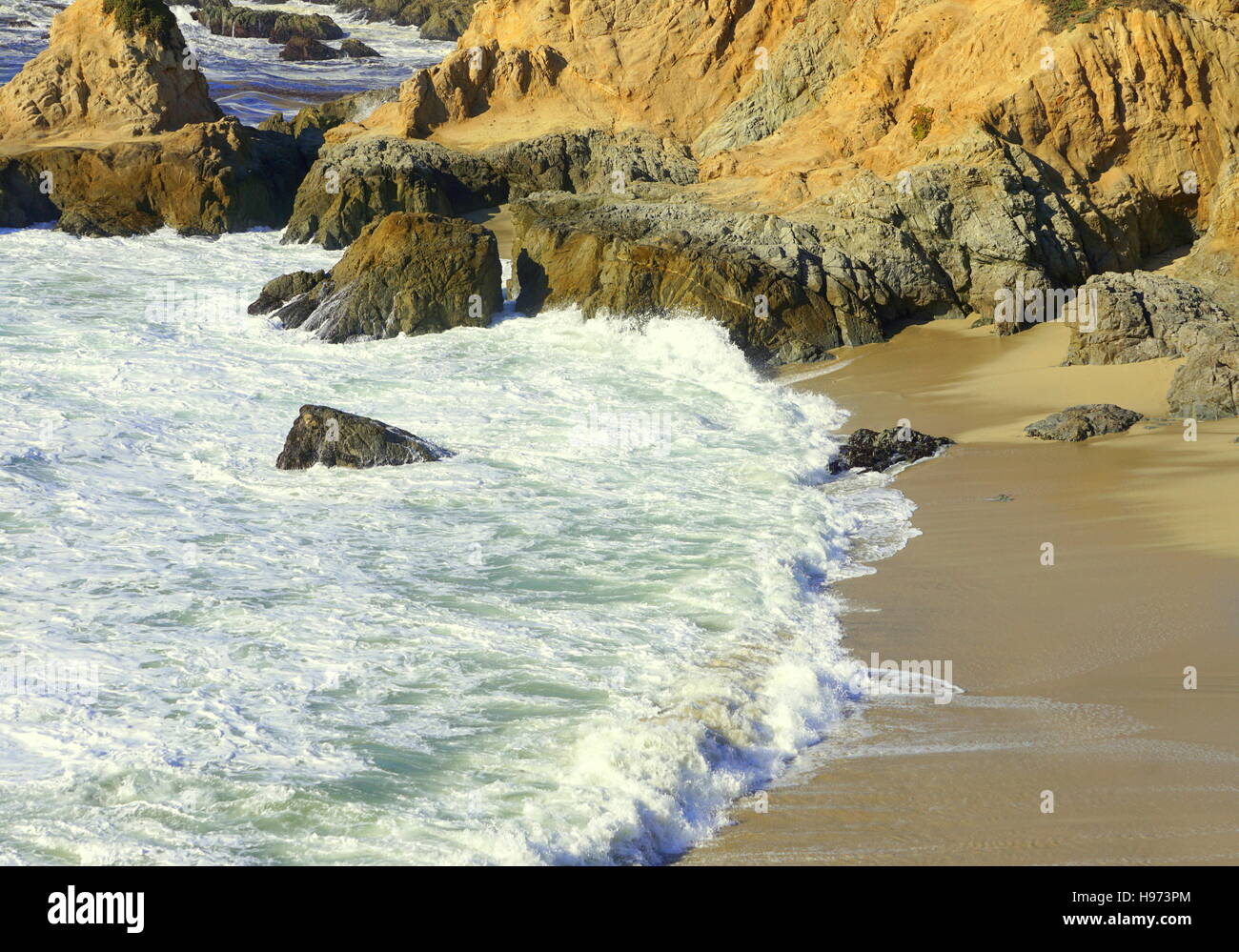 Bodega head hi-res stock photography and images - Alamy