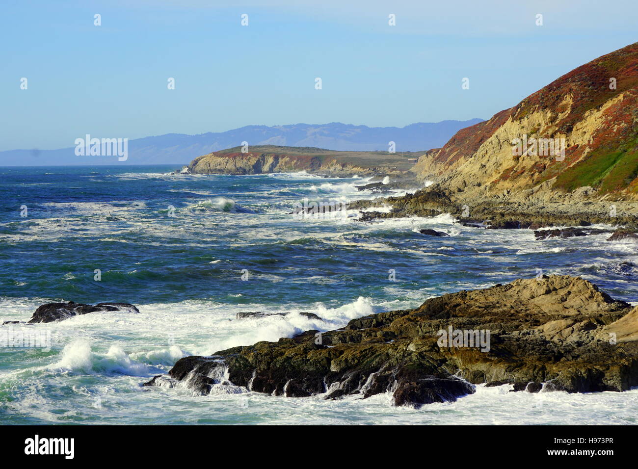 Bodega head hi-res stock photography and images - Alamy