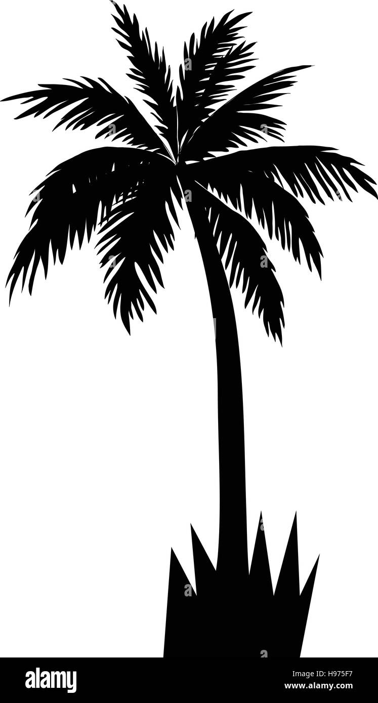 Palm Tree design Stock Vector Image & Art - Alamy