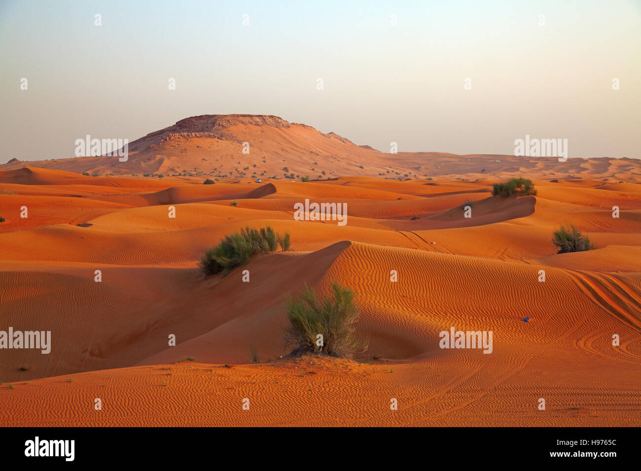 Red sand "Arabian desert" near Dubai, United Arab Emirates Stock Photo ...