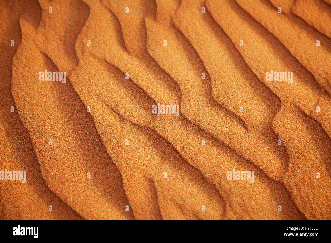 Red sand "Arabian desert" near Dubai, United Arab Emirates Stock Photo ...