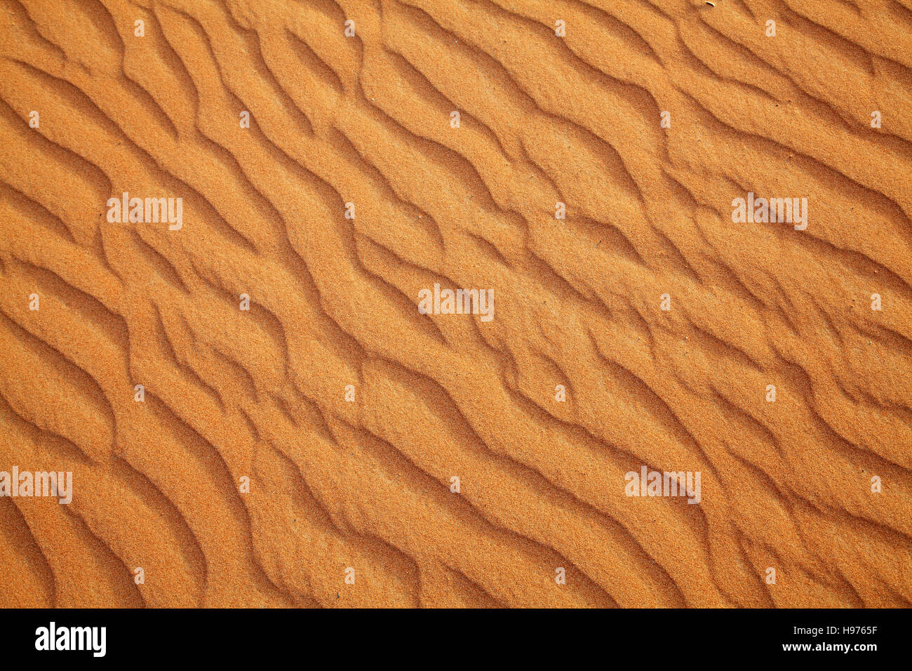 Red sand "Arabian desert" near Dubai, United Arab Emirates Stock Photo ...