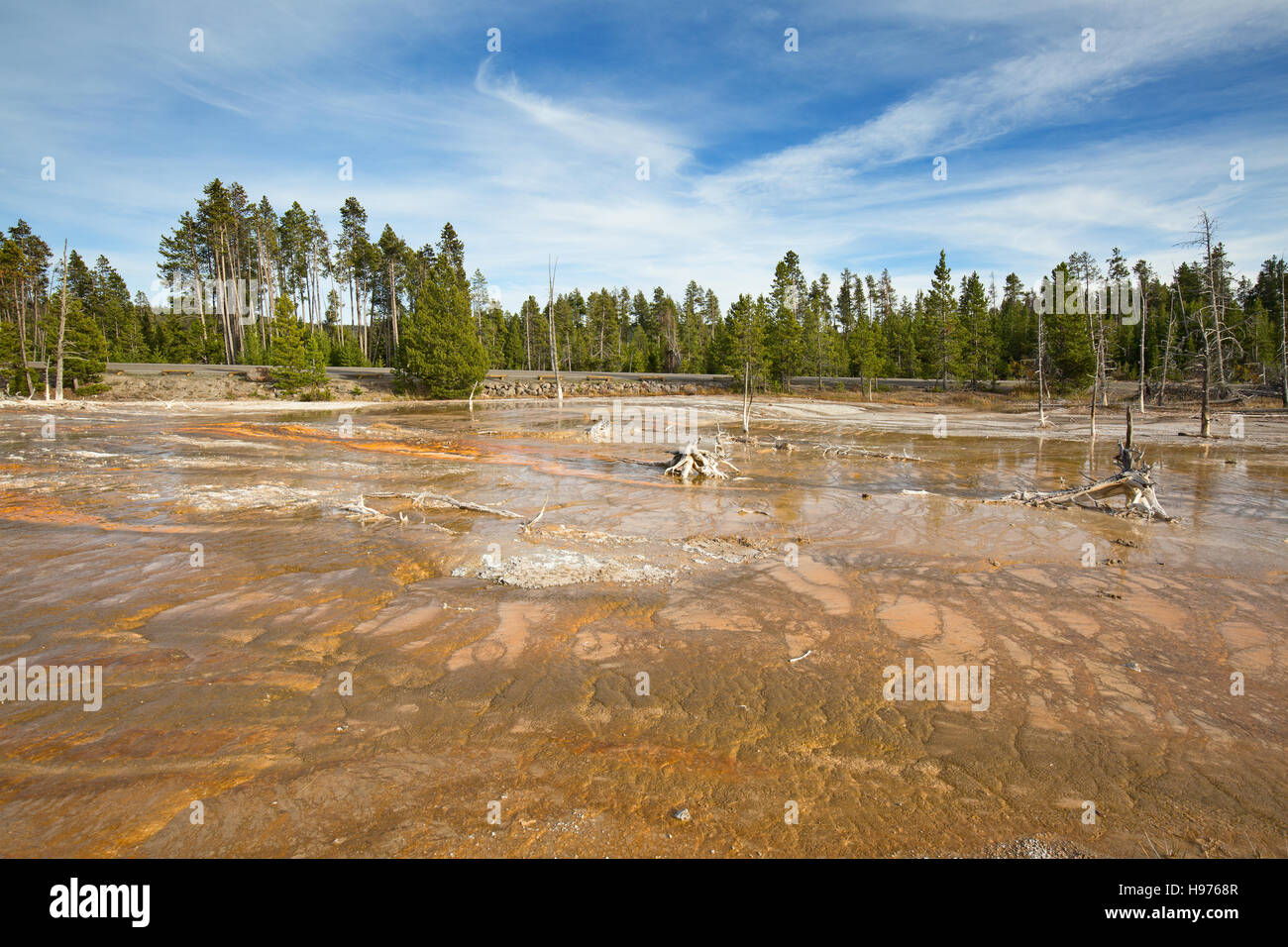 Lower geyser basin in the Yellowstone National park, USA Stock Photo ...