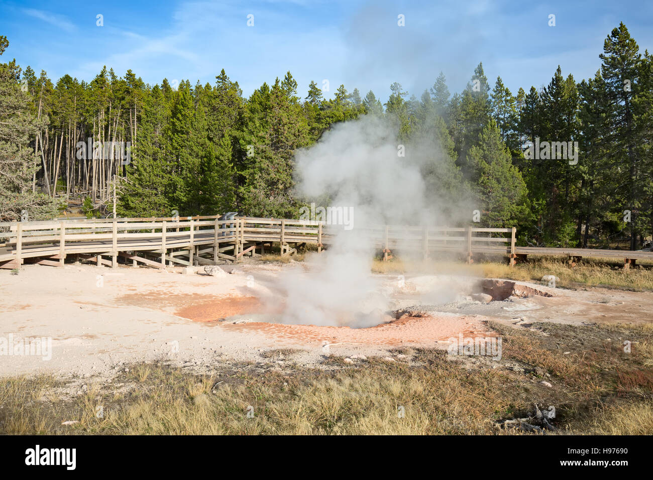 Lower geyser basin in the Yellowstone National park, USA Stock Photo ...
