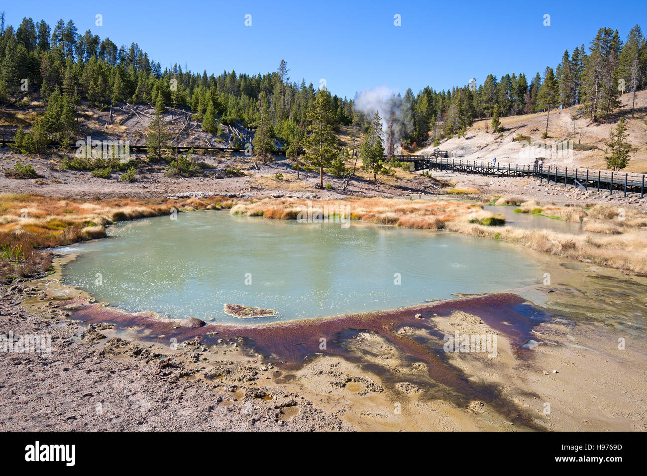 Lower geyser basin in the Yellowstone National park, USA Stock Photo ...