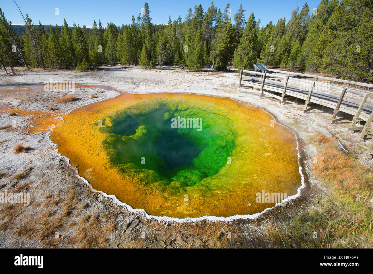 Colorful hot water pool in the Yellowstone National park, USA Stock ...