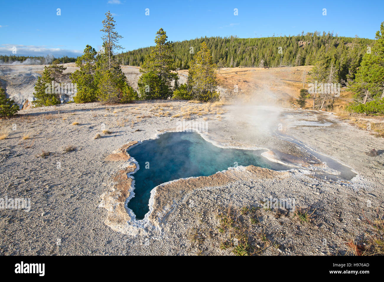 Colorful hot water pool in the Yellowstone National park, USA Stock ...