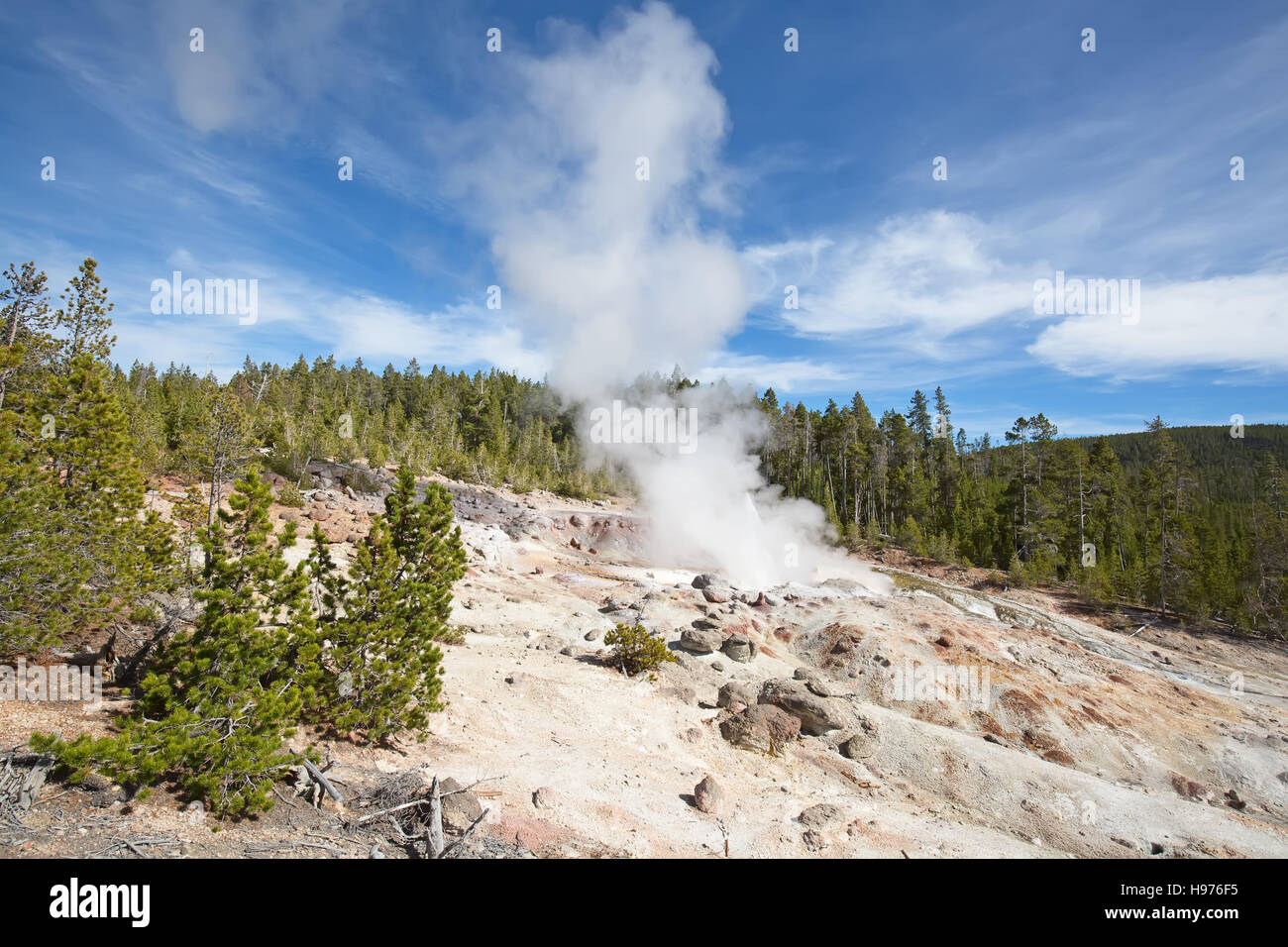 Steamboat geyser minor eruption in the Yellowstone national park, USA ...