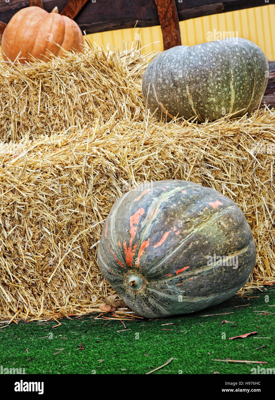 Thanksgiving Display of Pumpkins and hay stacks Stock Photo - Alamy