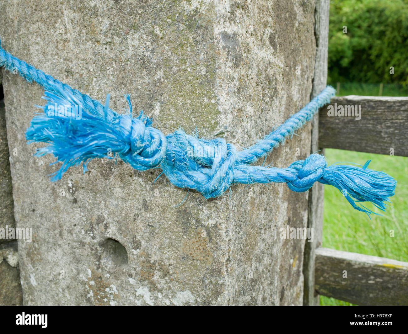 Knot in blue Nylon Rope Stock Photo - Alamy