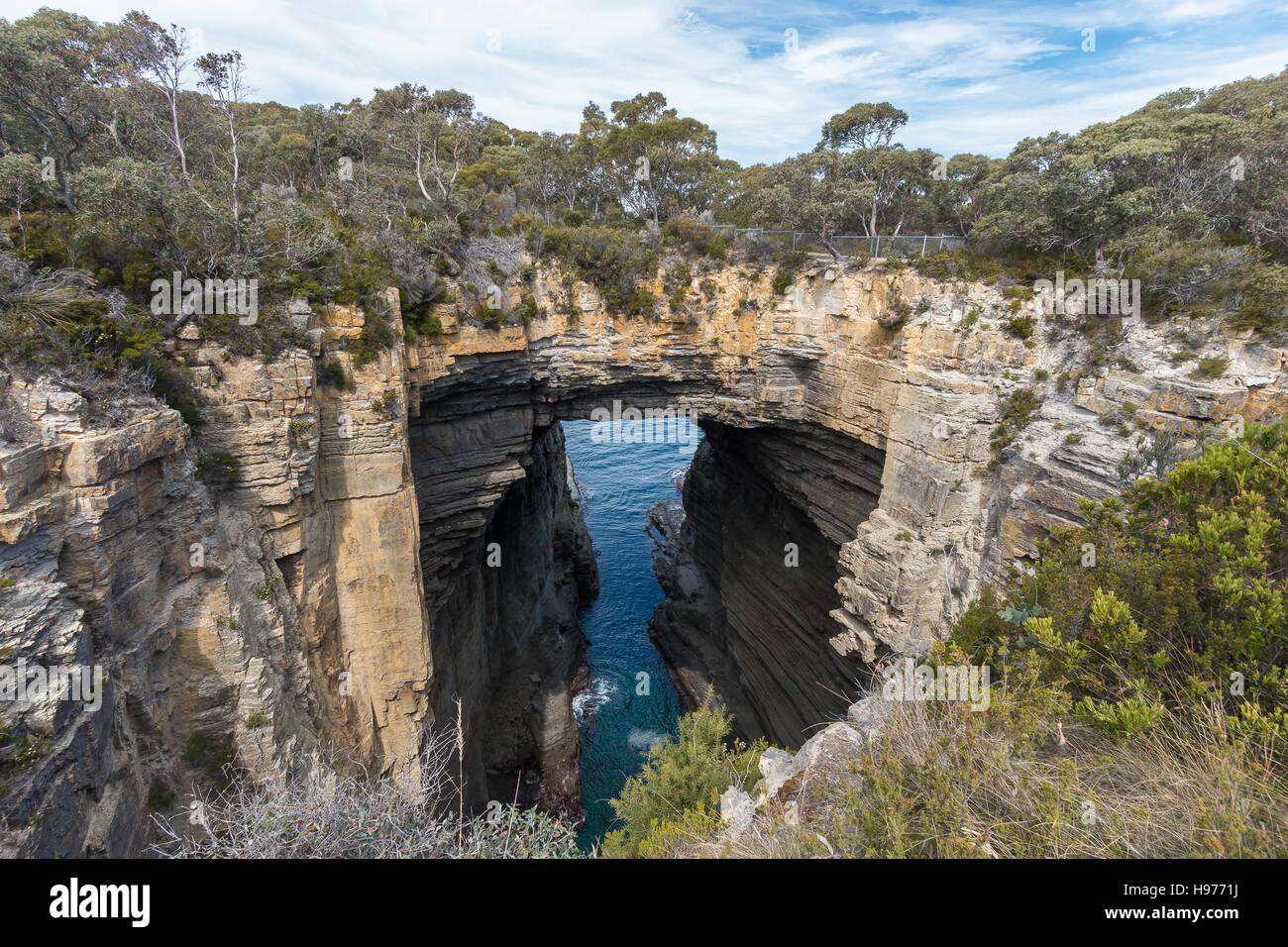 Tasman Arch and Blow Hole, a geological formation in Tasman National ...