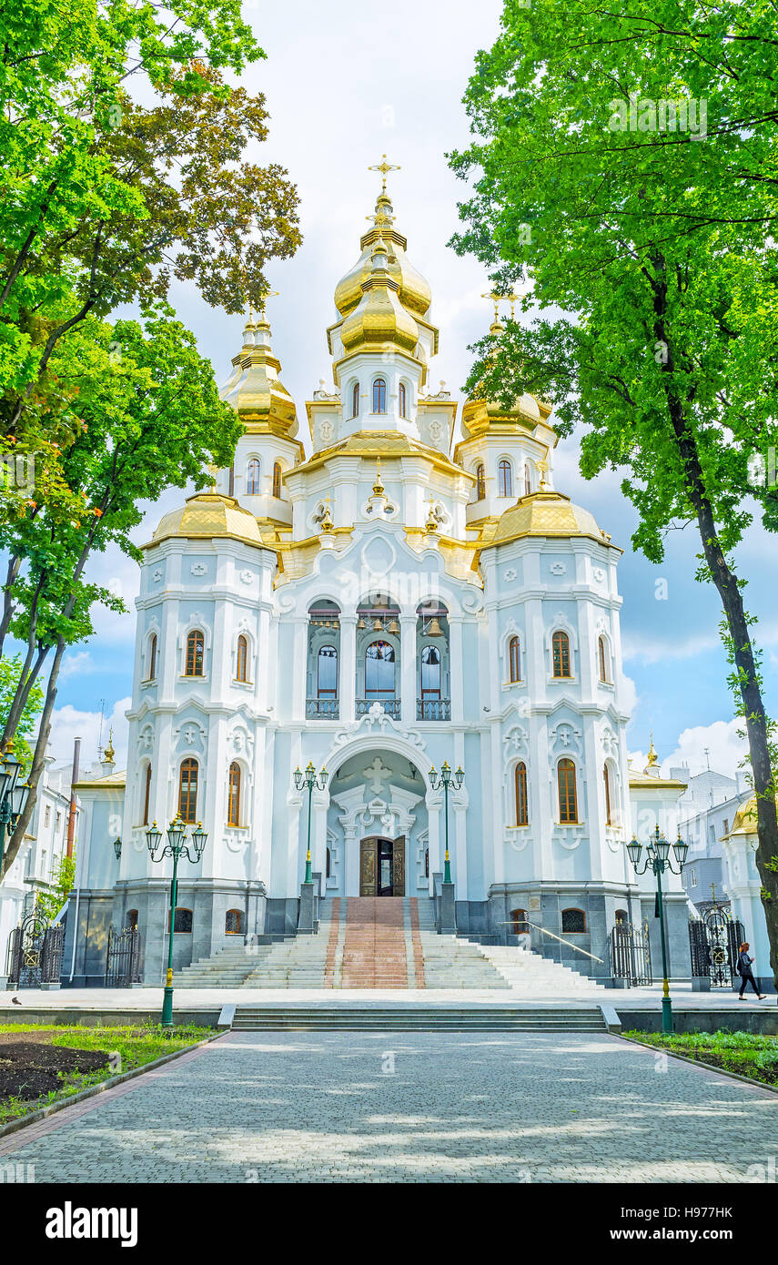 The Church of the Holy Myrrh-Bearers through the shady trees in Victory ...