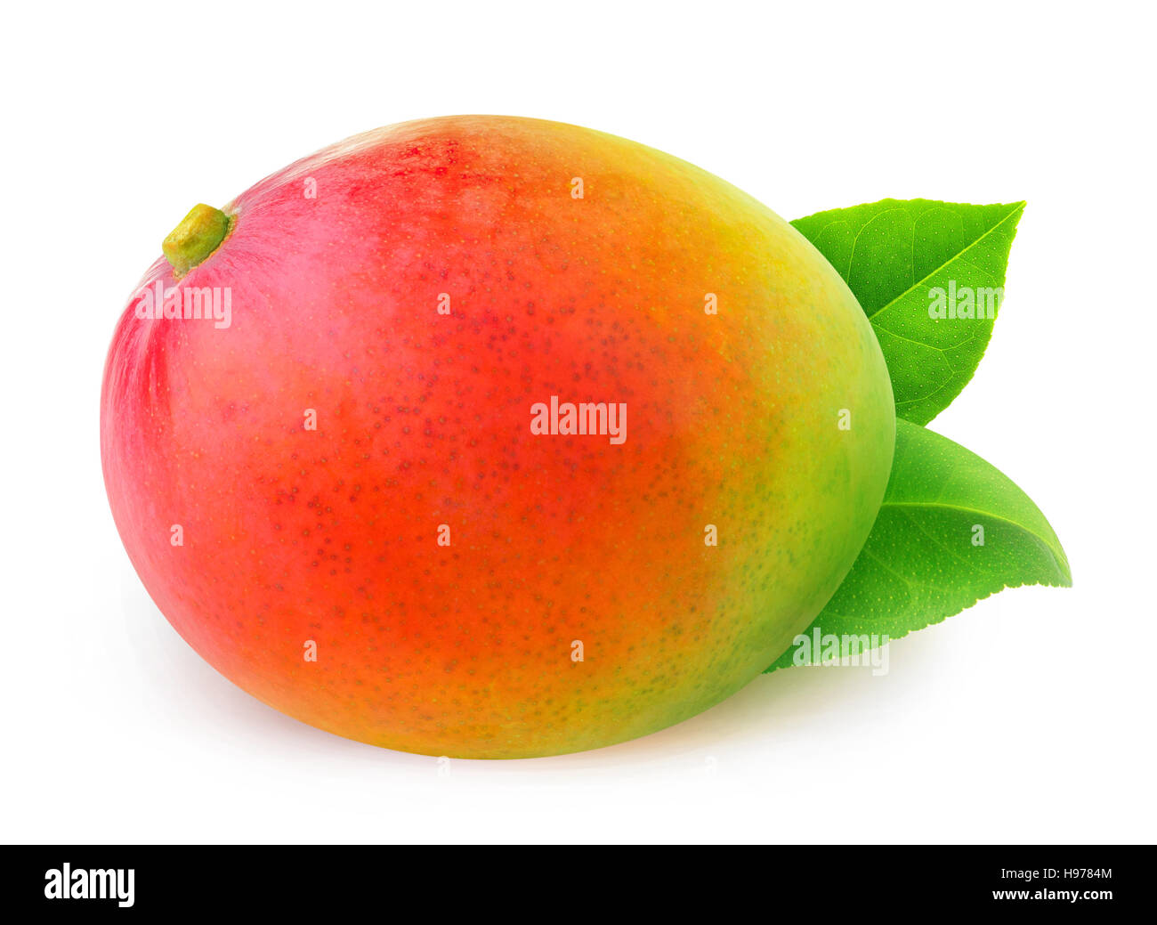 Isolated mango. One whole mango fruit with leaves isolated on white ...