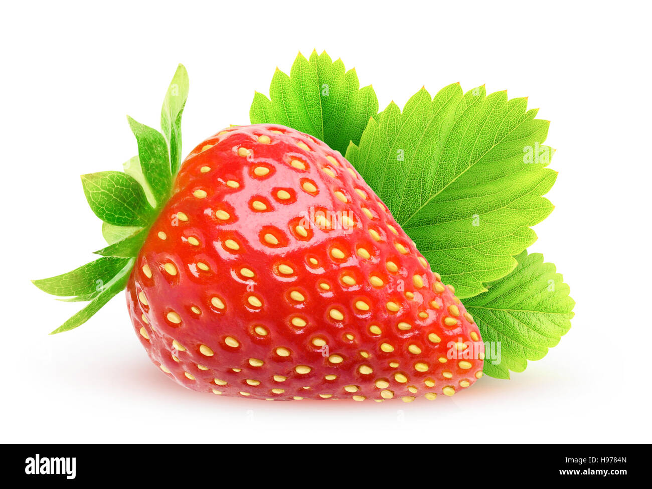 Isolated strawberry. One strawberry fruit with leaf isolated on white ...