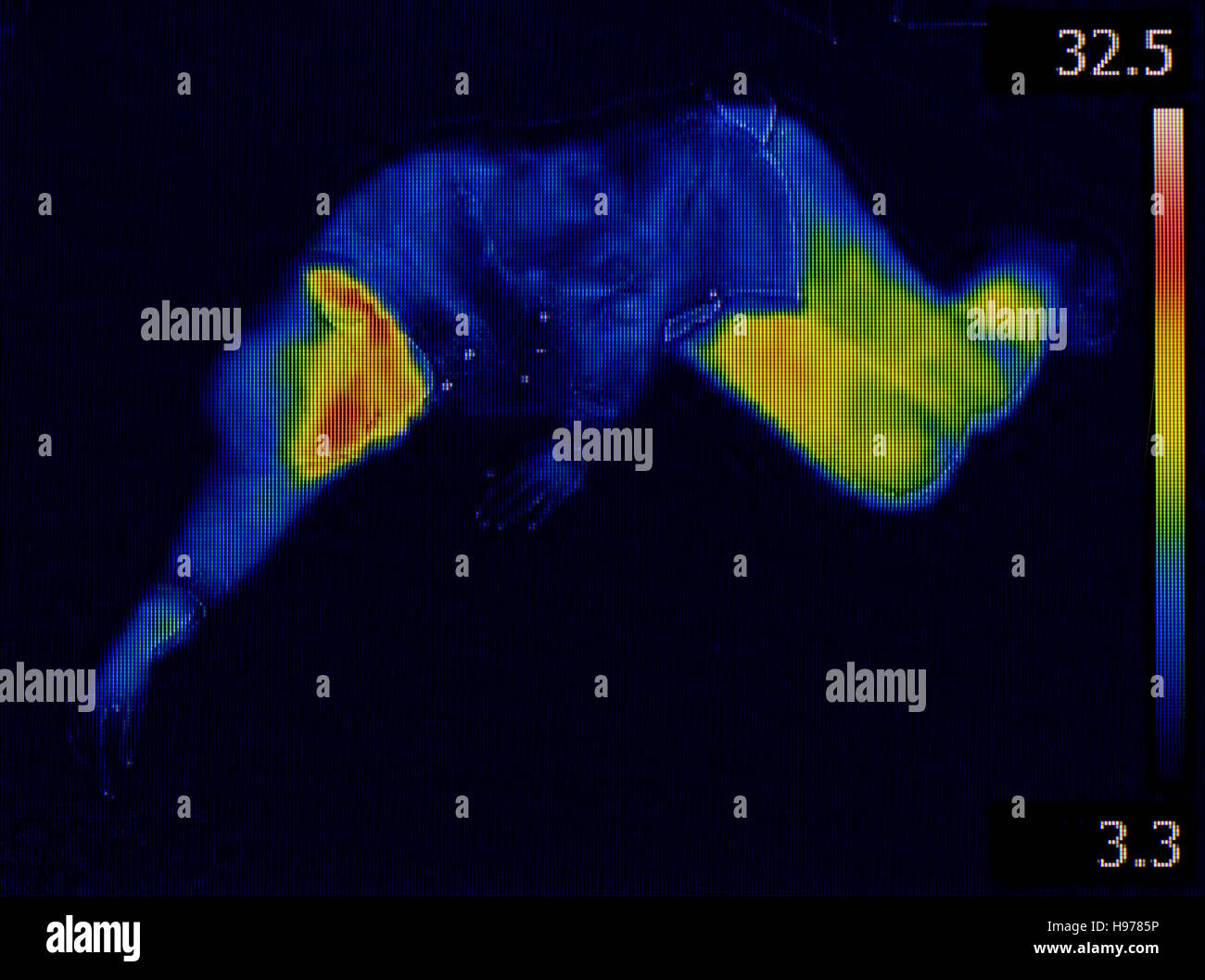 Forenzic Investigation Body Heat Thermal Imaging Stock Photo - Alamy