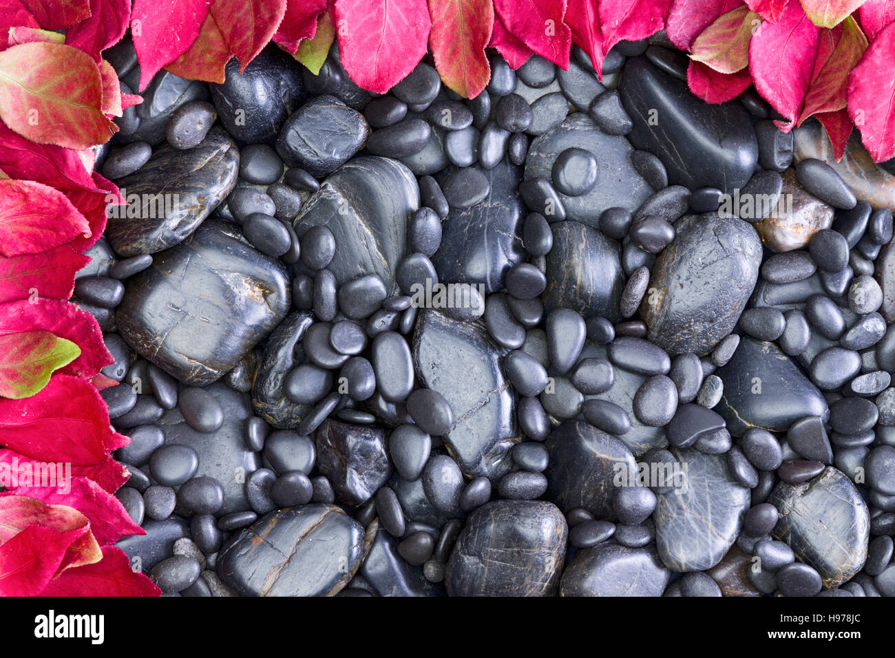 High Angle Full Frame View of Black Smooth River Rocks of Various Sizes ...