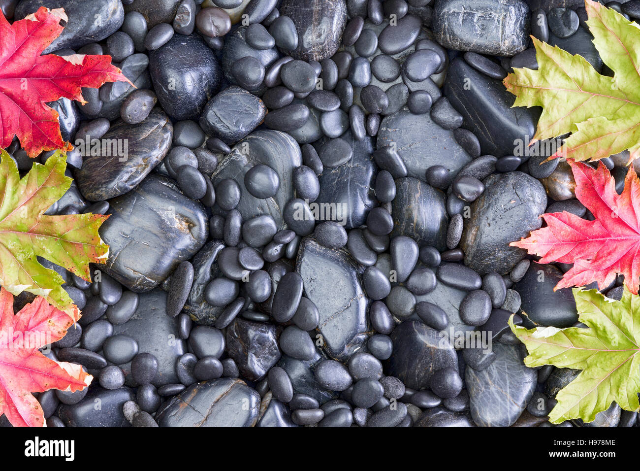 Side border hi-res stock photography and images - Alamy