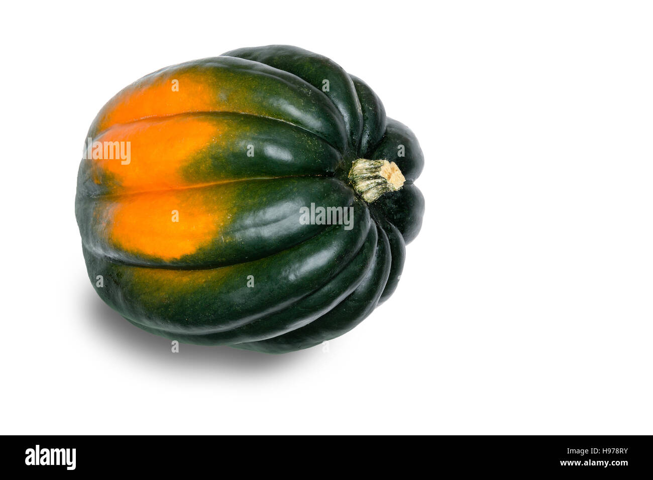 Fluted gourd Cut Out Stock Images & Pictures - Alamy