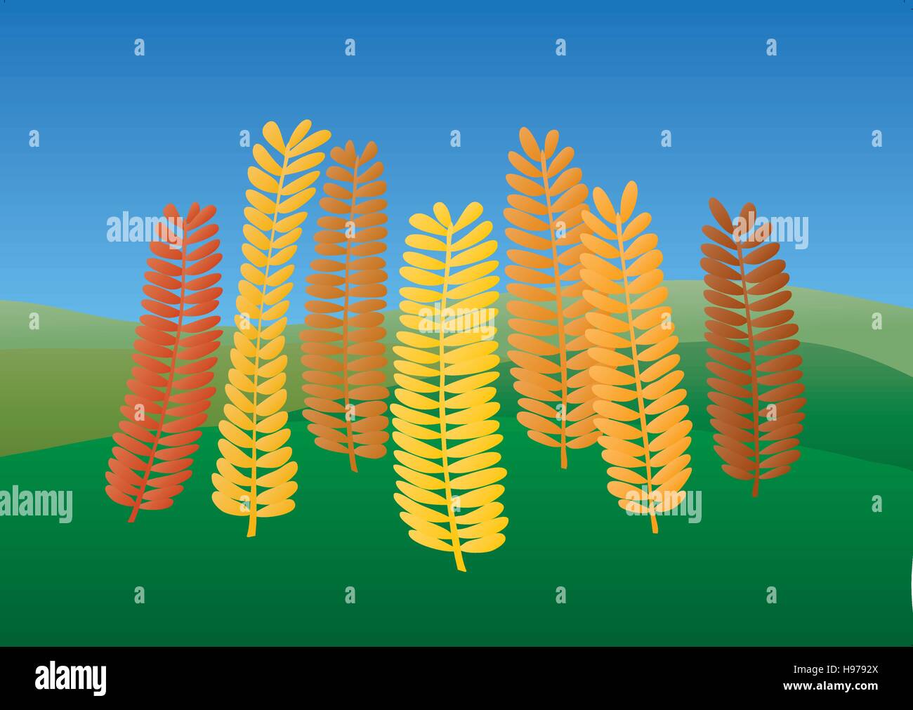 Forest of trees with autumn colors Stock Vector Images - Alamy