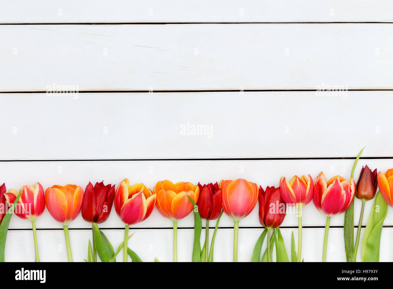 Bottom border hi-res stock photography and images - Alamy