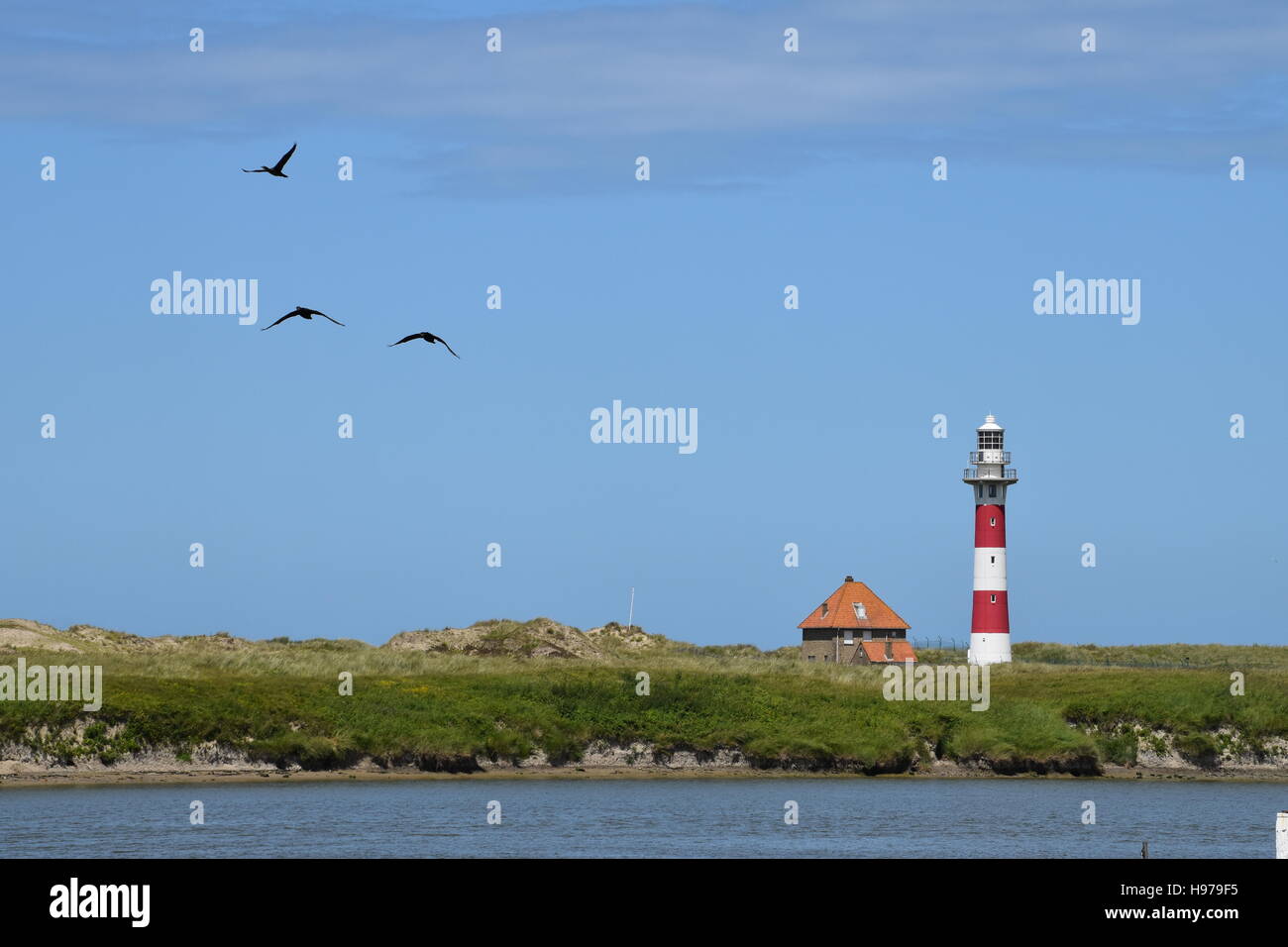 zon, zee, natuur, mooi, Nieuwpoort Stock Photo - Alamy