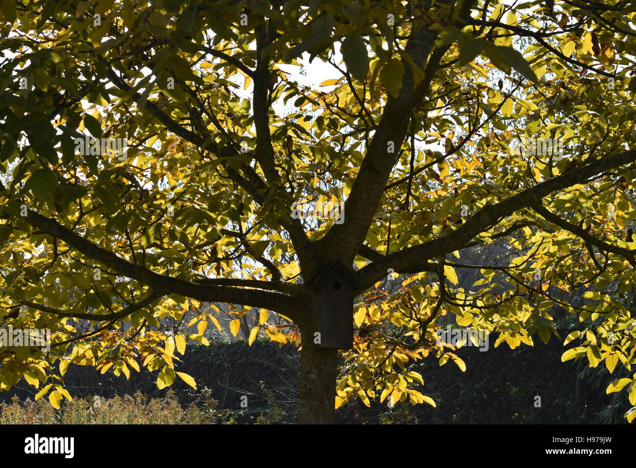 Noteboom High Resolution Stock Photography and Images - Alamy