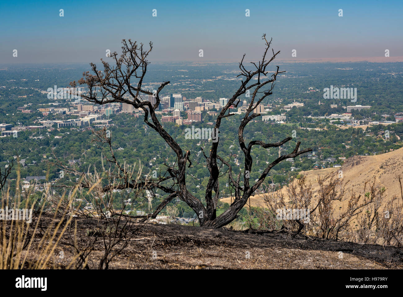 Sagebrush fire hi-res stock photography and images - Alamy