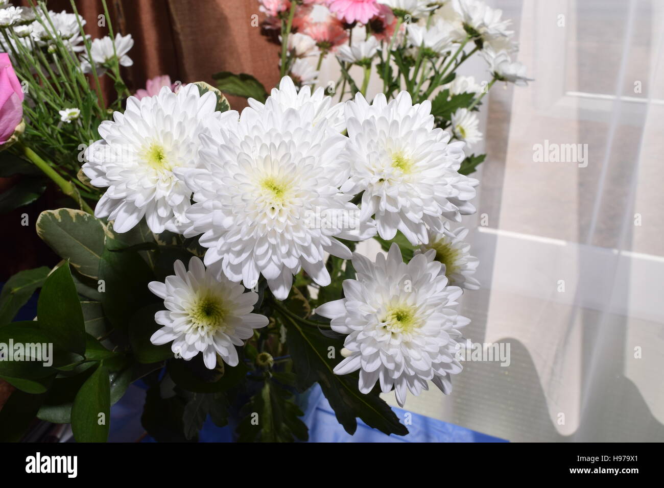 Beautiful flowers in a vase Stock Photo - Alamy