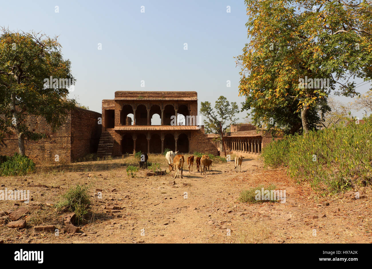 Ruins of thousand years old Narwar Fort Stock Photo - Alamy