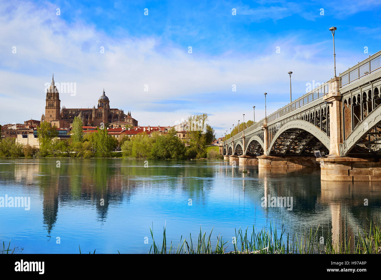 Salamanca skyline in Enrique Estevan bridge over Tormes river in Spain ...