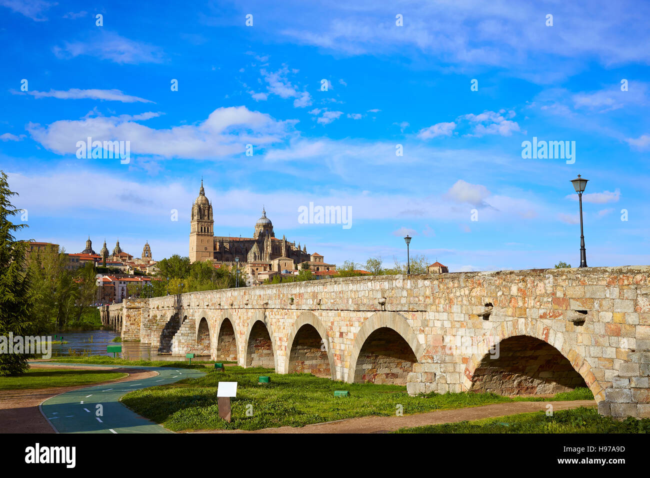Salamanca skyline and roman bridge over Tormes river in Spain Stock ...
